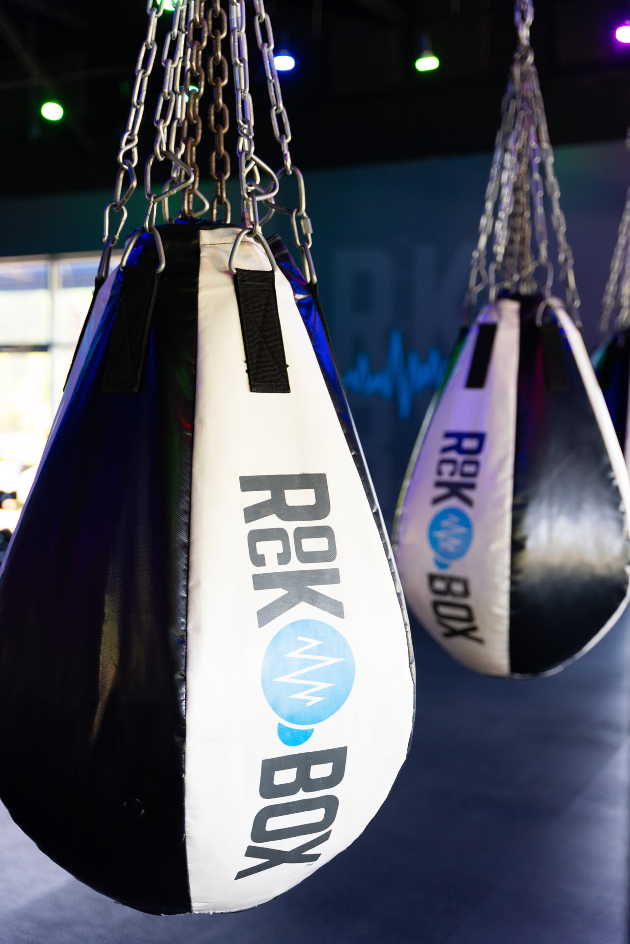 RockBox Fitness Bellevue | Kickboxing & Strength Classes